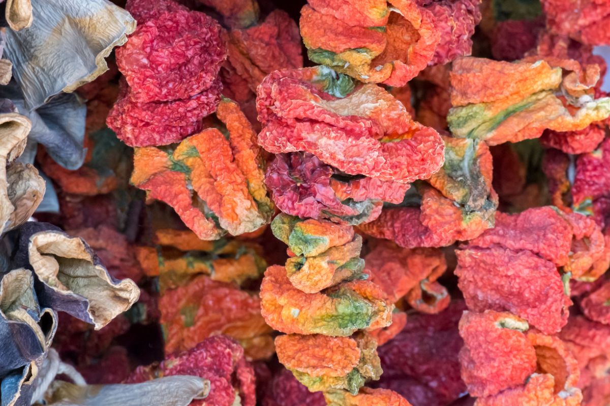 3 Exciting Methods For Drying Bell Peppers