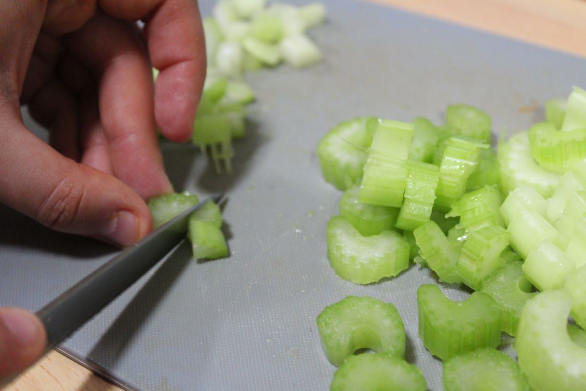 The Ultimate A-Z Guide For Drying Celery