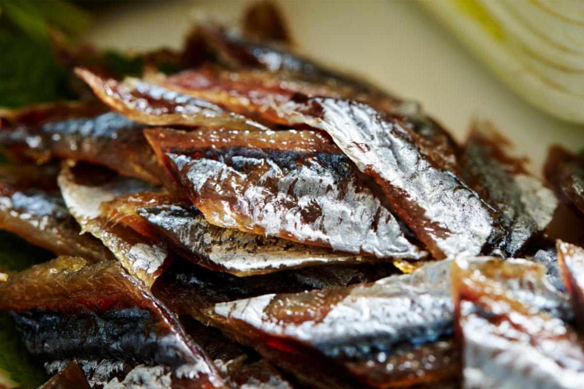 How To Make Dehydrated Fish In A Food Dehydrator How To Make Dehydrated Fish In A Food Dehydrator