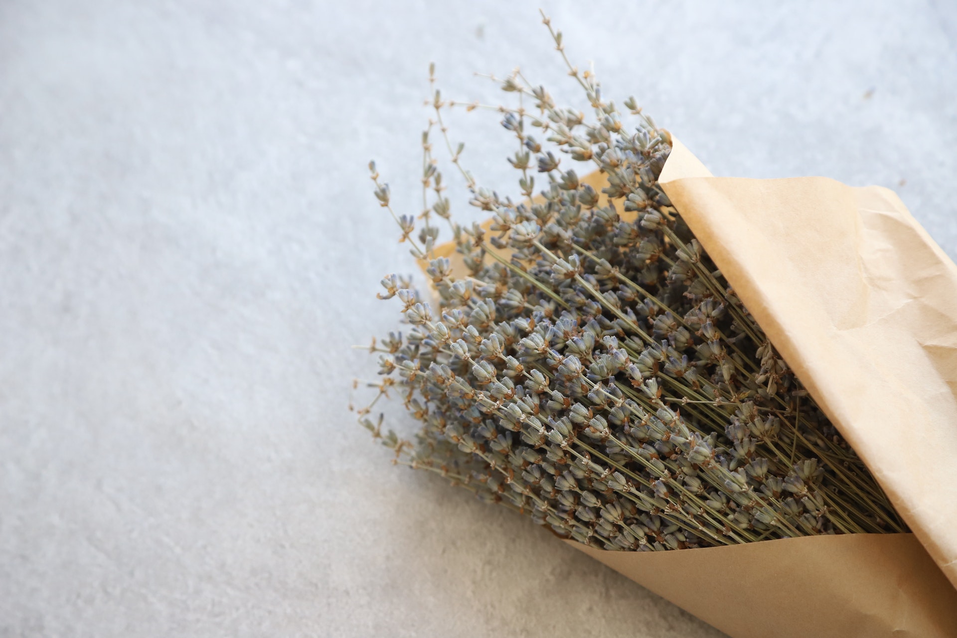 When To Harvest Lavender And How To Prune And Dry It