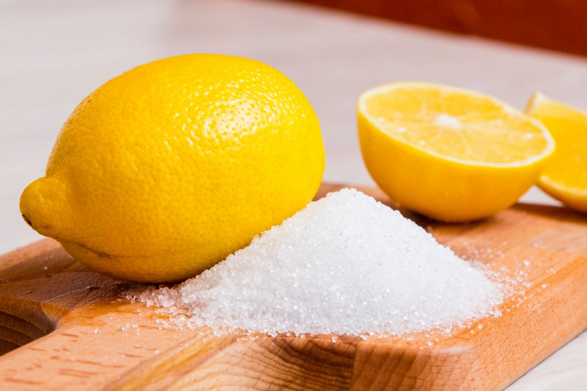 Important Safety Precautions To Take When Dehydrating Food