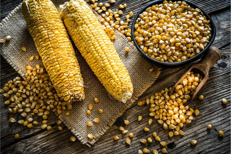 Complete Guide To Making Dehydrated And Freeze-Dried Corn