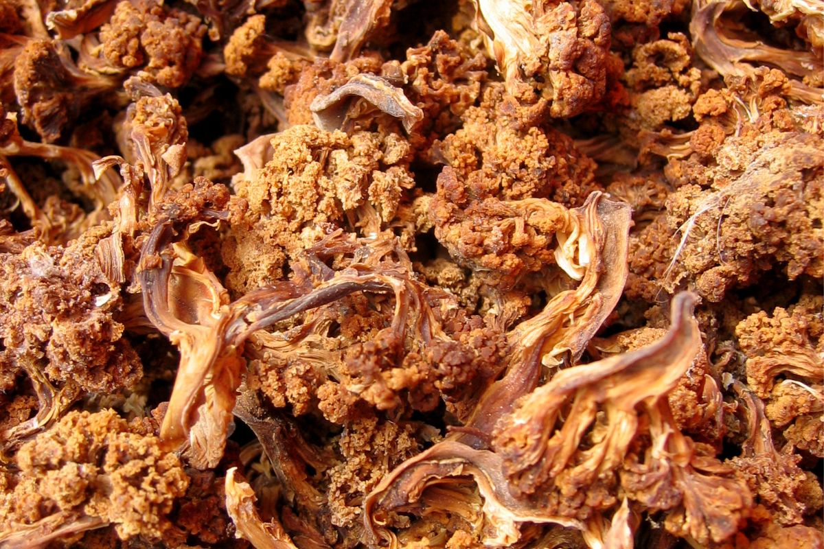 Preparing Dried Cauliflower And Cauliflower Powder