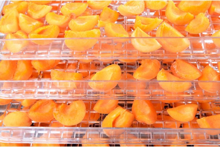 How To Dehydrate Apricots And Extend Their Shelf Life