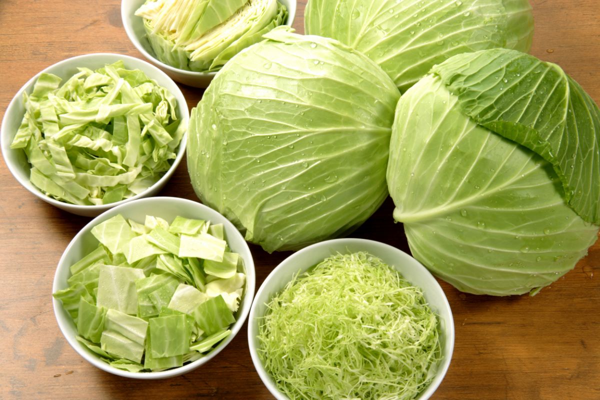The Best Way To Dehydrate Cabbage And Coleslaw