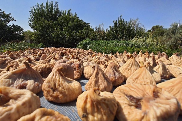 3 Fantastic Methods For Dehydrating Figs