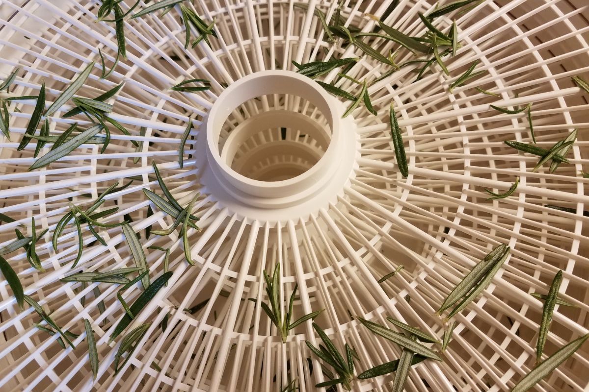 Dehydrating Methods: How To Dry Rosemary