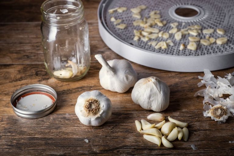 How To Dehydrate Garlic And Make Garlic Powder