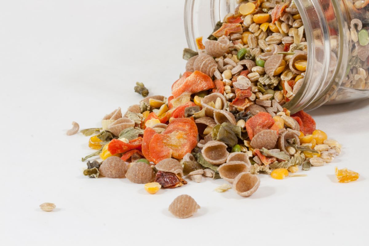 Dehydrating Basics: How To Make Dehydrated Soup Mix