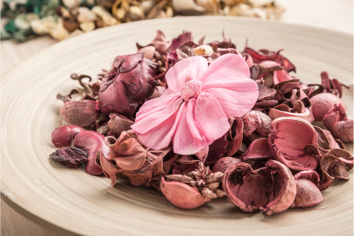 Dehydrating Flowers For Potpourri And Essential Oils
