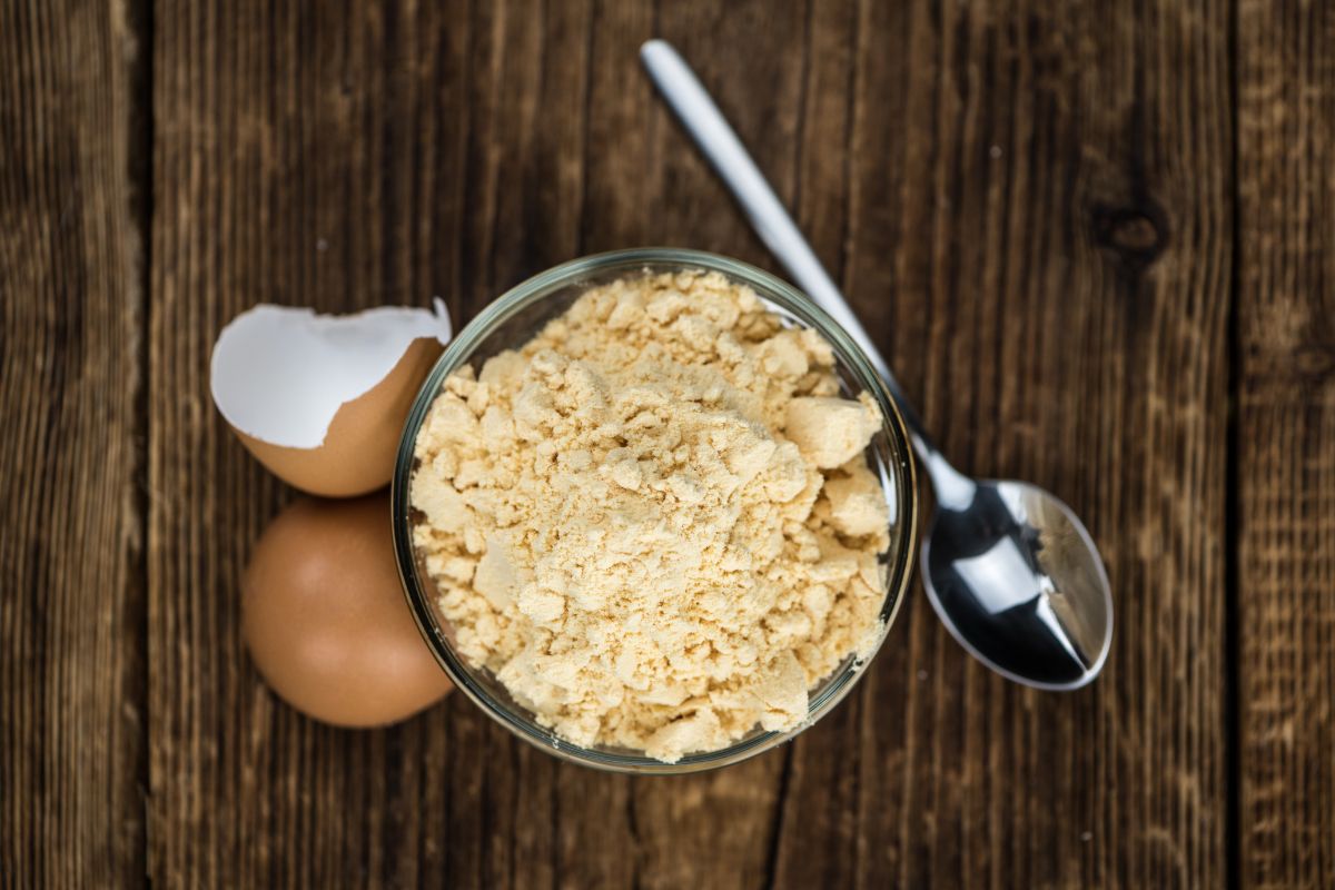 How To Dehydrate Eggs And Make Egg Powder